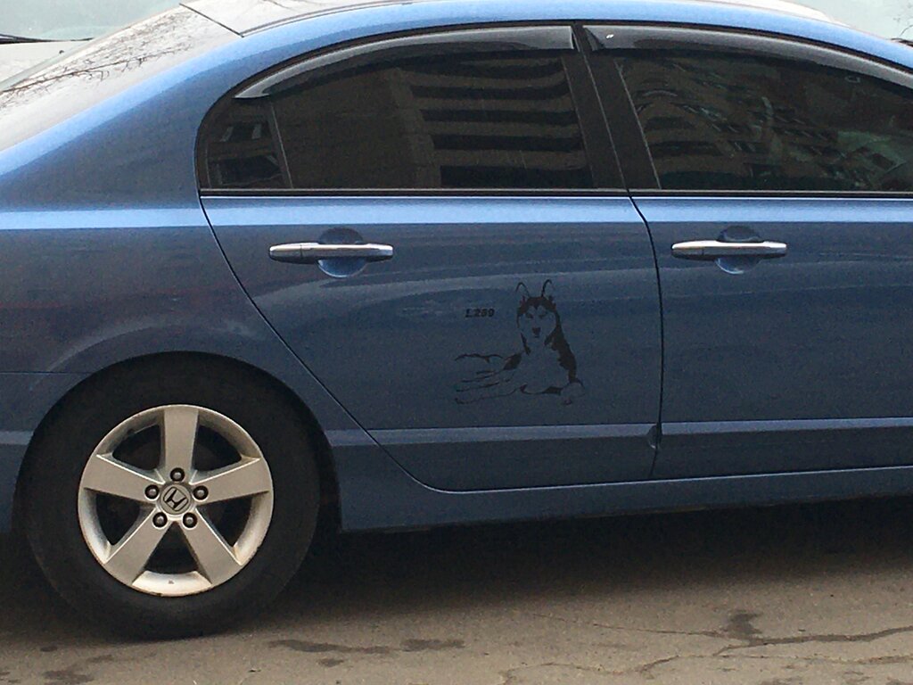 Araç camlarının renklendirilmesi Тонирование автомобилей, Liubertsy, foto