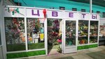 Цветы (Tashkiencki Drive No:5), çiçekçiler  Minsk'ten