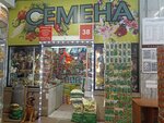 Семена (Plakhotnogo Street No:2А), tohum satan yerler  Novosibirsk'ten