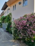 Gostevoy dom Izyuminka (ulitsa Razina No:11А, Village of Loo), otel  Soçi'den