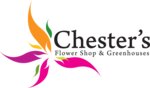 Chester's Flower Shop And Greenhouses (New York, Oneida County, Utica), çiçek teslimatı  Utica'dan
