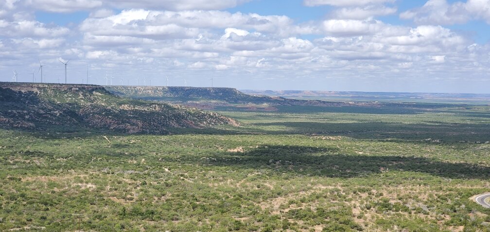Arama çalışmaları Elizondo & Associates Surveying & Mapping, Texas, foto