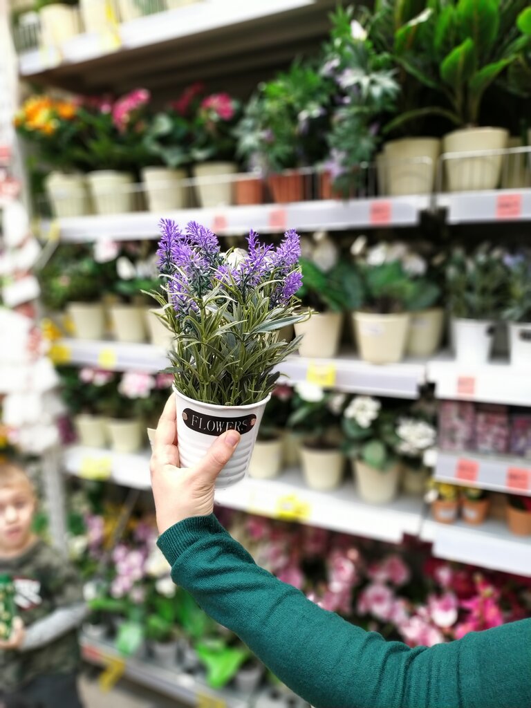 Kozmetik ve parfümeri mağazaları ИП Уфимцева, Moskova, foto