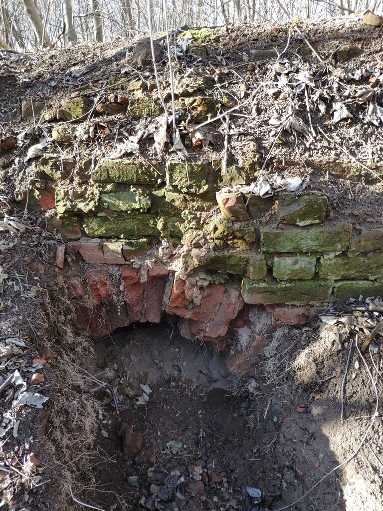 Turistik yerler Lochstedt castle ruins, Baltiysk, foto