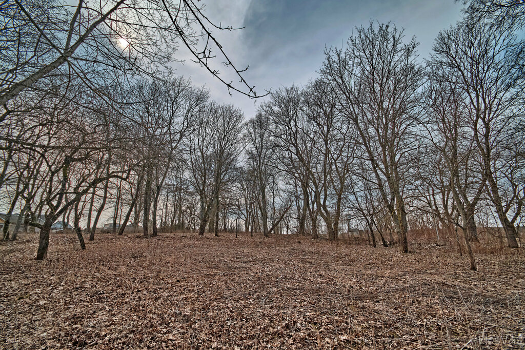 Kültür ve eğlence parkları Усадебный парк бывшей усадьбы Крупских, Minskaya oblastı, foto