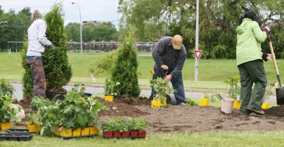 Temizlik şirketleri TehKliningProekt, Minsk, foto