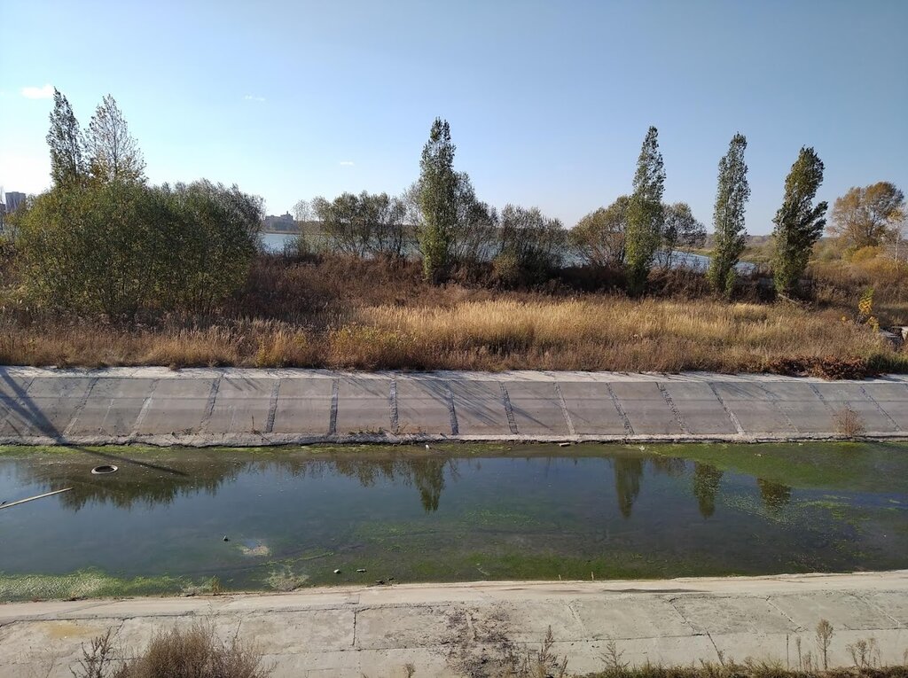Balık çiftçiliği ve toptancıları Бокинский рыбхоз, Tambovskaya oblastı, foto