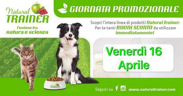 Petshop Pet Store Conad, Lazio, foto