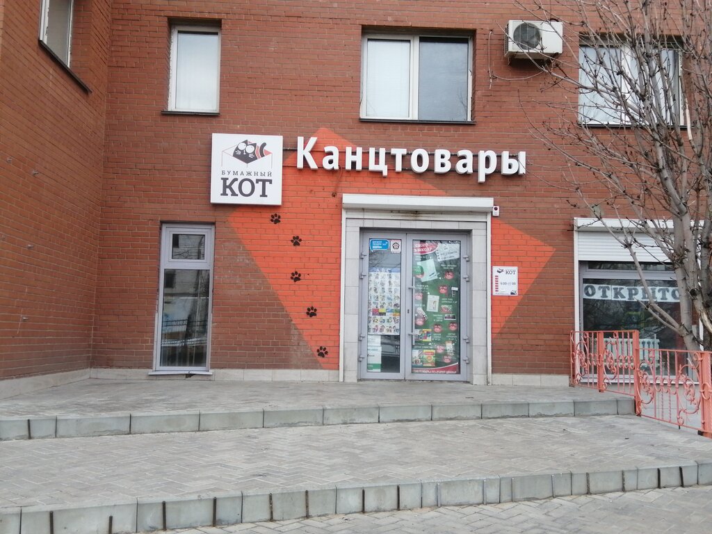 Kırtasiyeler Bumazhny kot, Novokuybyşevsk, foto