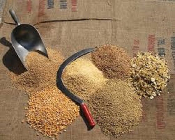 Tarım makineleri, ekipmanlar Agrimax, Sardunya, foto