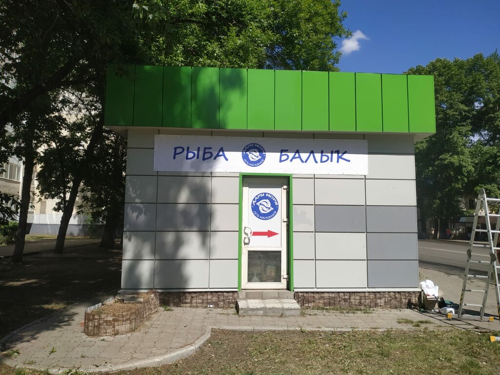 Balık ve deniz ürünleri Dm-ufa, Ufa, foto