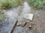 Spring, stream (Krasnodar Territory, Korenovsk, Verkhne-Naberezhnaya ulitsa), pınar, çay  Korenovsk'tan
