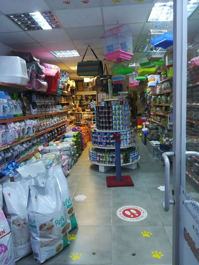 Evcil hayvanlar için ürünler Pati Pet Shop, İstanbul, foto