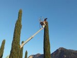 Le Giraffe Noleggi (Lombardy, Brescia, Provaglio d'Iseo), kiralama noktası  Lombardiya'dan