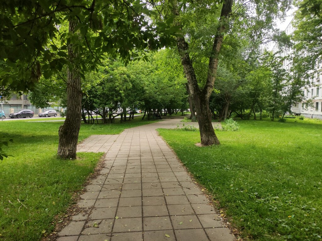 Meydan Clara Zetkin Public Garden, Moskova, foto