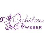 Weber Orchideen GmbH (Basel-Stadt, Basel, Spalenring, 127), çiçek teslimatı  Basel'den