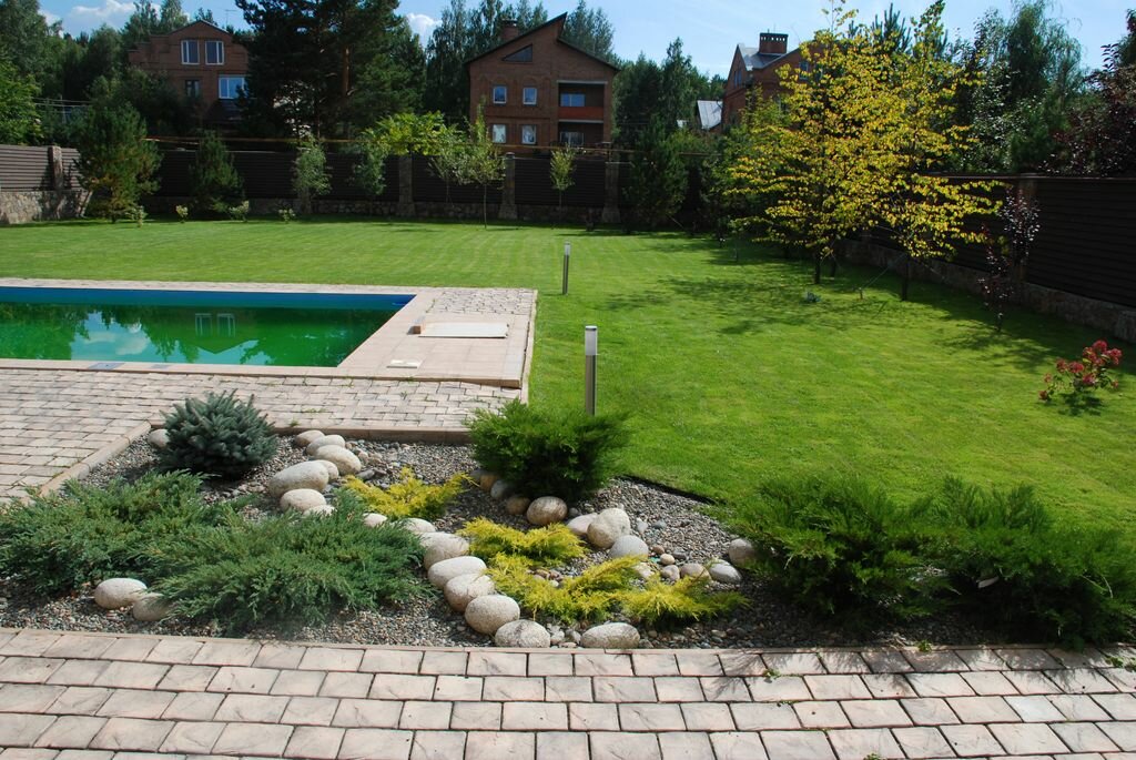 Peyzaj tasarımı Сибирский кедр, Kemerovo, foto