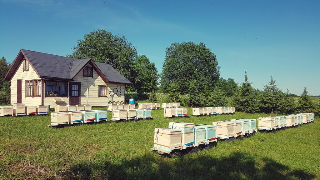 Tarımsal altyapı Shirogorov Apiary, Vologodskaya oblastı, foto