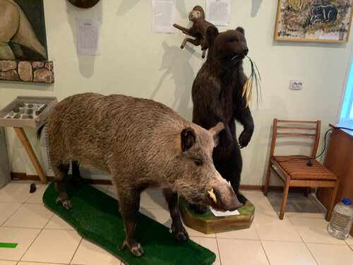 Müzeler ve sanat galerileri МБУК Крутинский историко-краеведческий музей, Omskaya oblastı, foto
