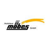 Autohaus Möbes GmbH Renault, Ze & Dacia Vertragshändler (Saxony-Anhalt, Harz, Suderöder Chaussee, 10), i̇kinci el araç  Saksonya‑Anhalt'tan