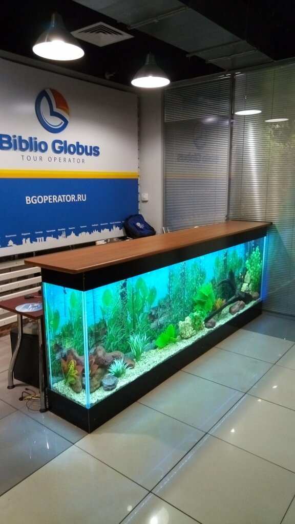 Akvaryumlar Vs-aqua, Lytkarino, foto