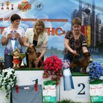 Dog-Alians (Сосновая аллея No:с1), hayvanat bahçesi merkezi  Zelenograd'dan