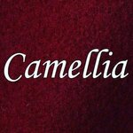 Camellia (Avtozavodskoye Highway No:6), şapka satan mağazalar  Tolyatti'den (Togliatti'den)