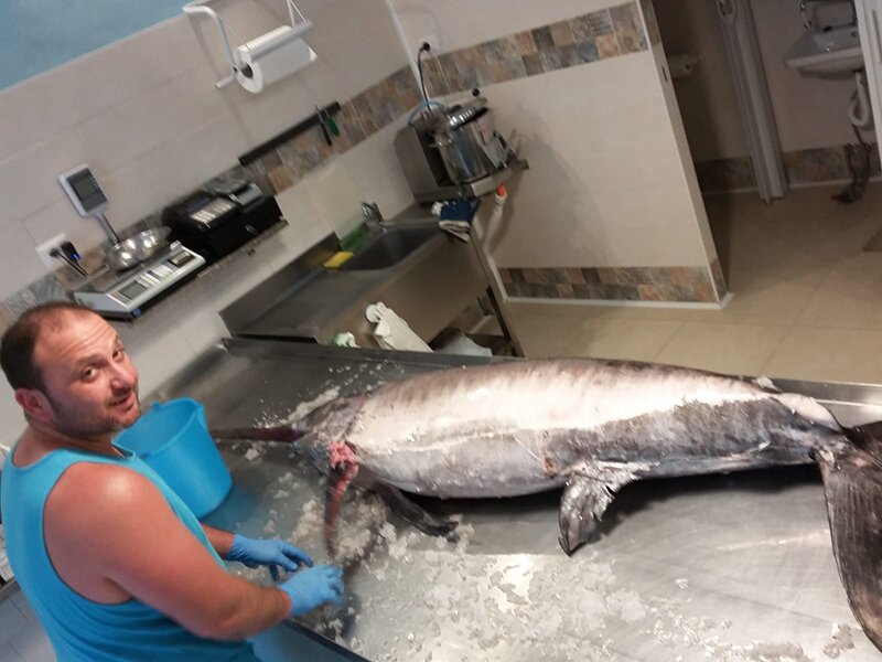 Balık çiftçiliği ve toptancıları Pescheria Ittica Palmese, Sicilya, foto