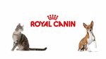 Люси (Nagornaya ulitsa No:5к1), petshop  Losino‑Petrovski'den