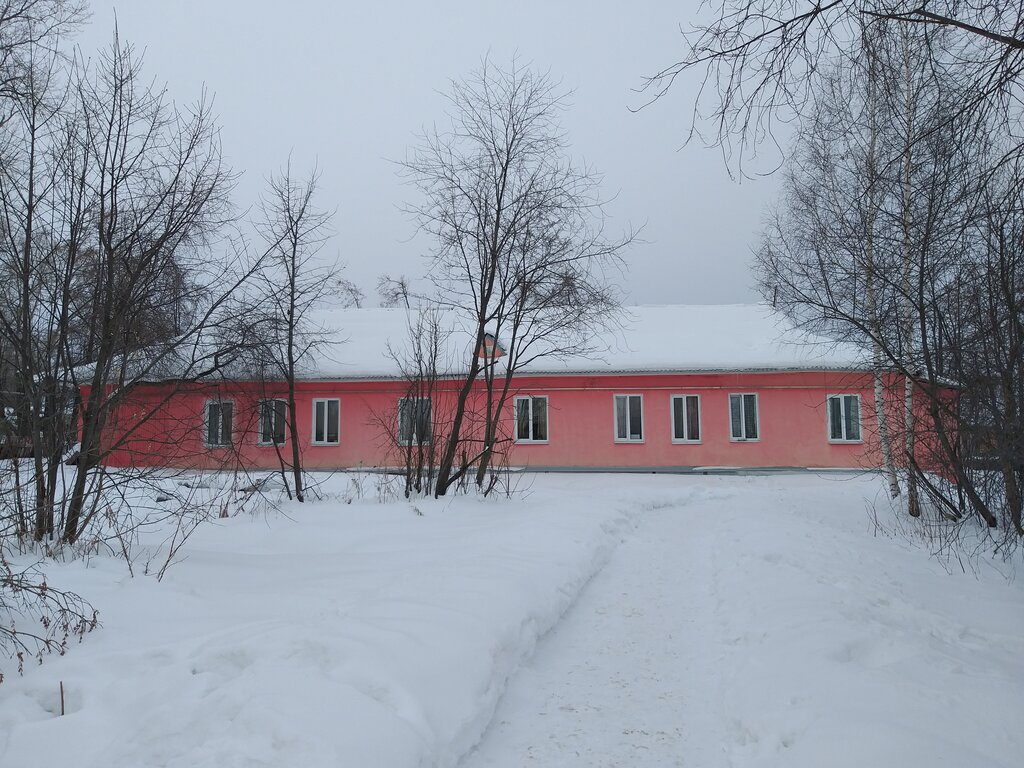 Sanat okulları Первоуральская Детская школа Искусств, Pervouralsk, foto