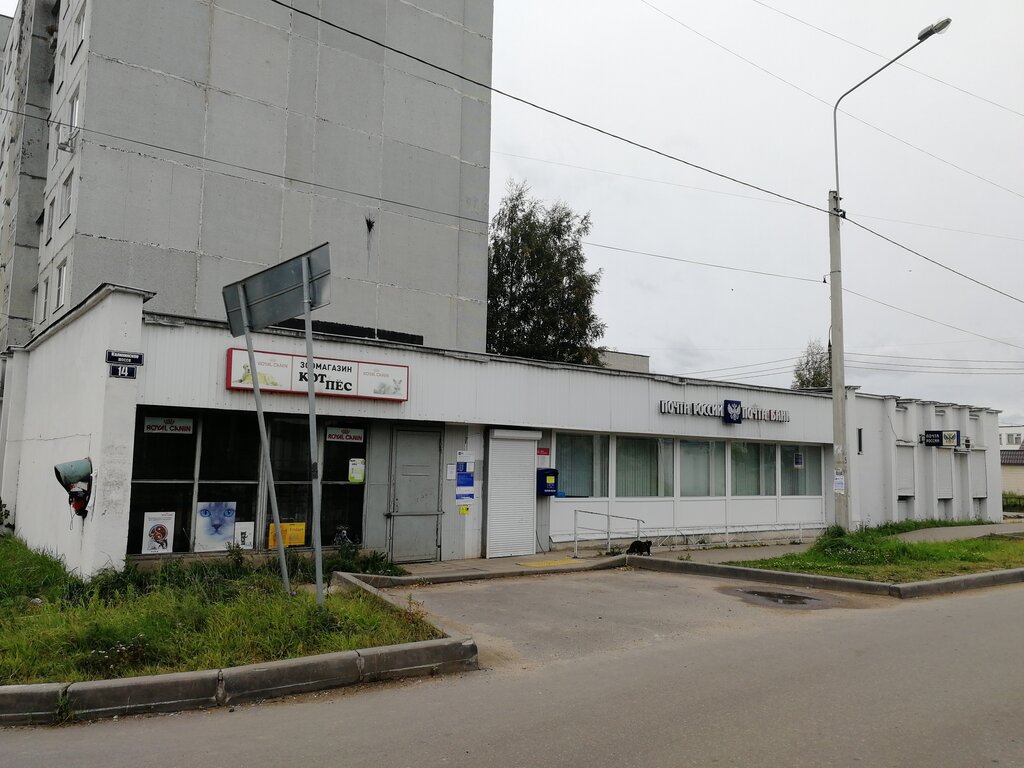 Petshop Kot i pes, Torzgok, foto