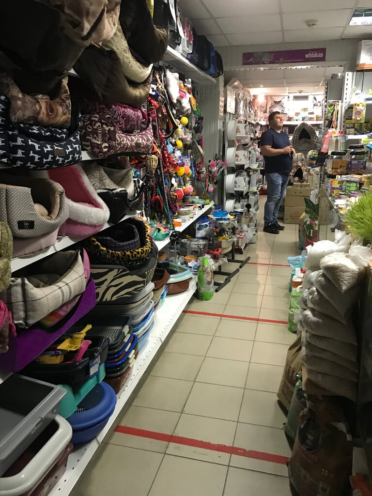 Petshop Ryzhy kot, Rostov‑na‑Donu, foto