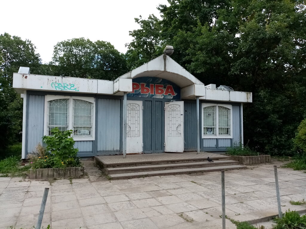 Balık ve deniz ürünleri Рыба, Volhov, foto