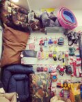 La Boutique del Pelo (Via d'Antona Antonino No:9, Naples), petshop  Napoli'den