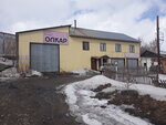 ОлКар (Glukhoy pereulok No:1/1, selo Altayskoye), halı yıkamacılar  Altayski krayından