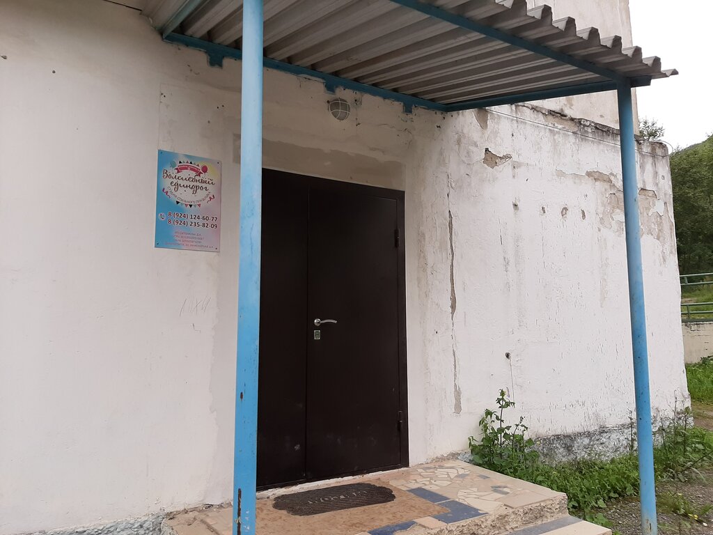 Çocuklar için kutlama organizasyonları Волшебный единорог, Dalnegorsk, foto