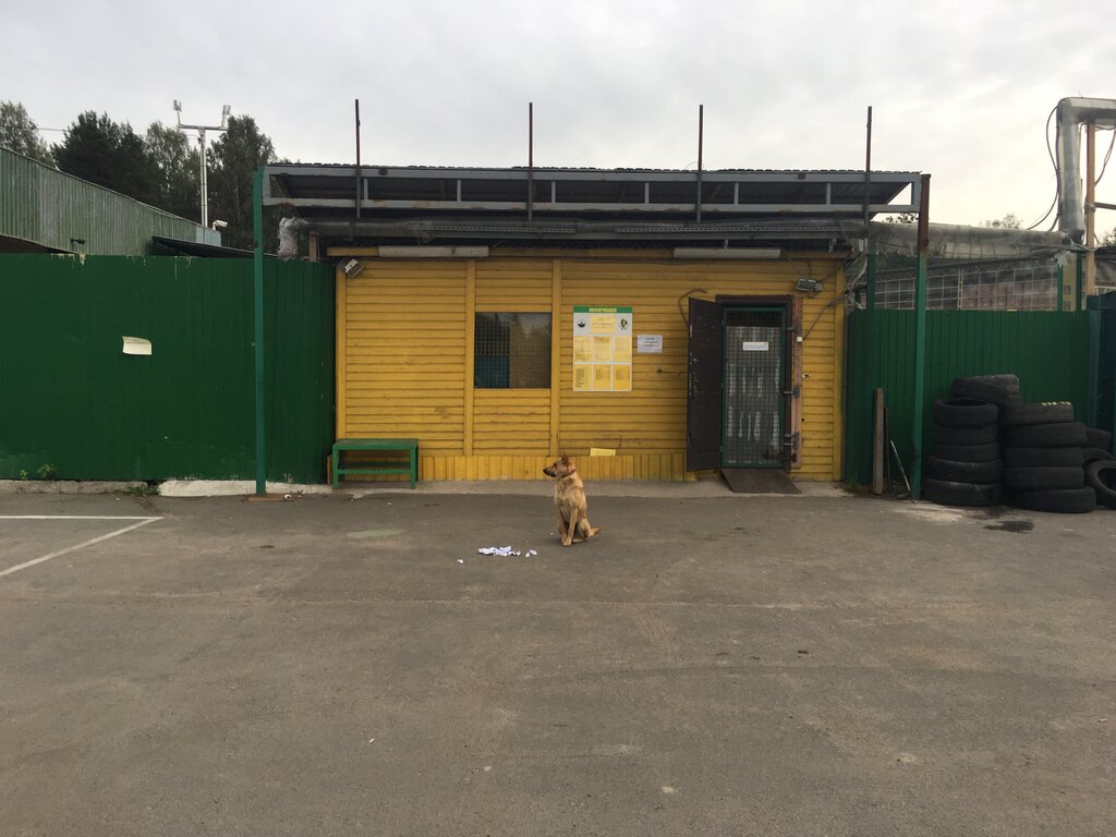 Sigorta şirketleri Строй-торговля, Zelenogorsk, foto