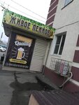 Живое пенное (Moskovskaya ulitsa No:102), bira dükkanı  Azov'dan