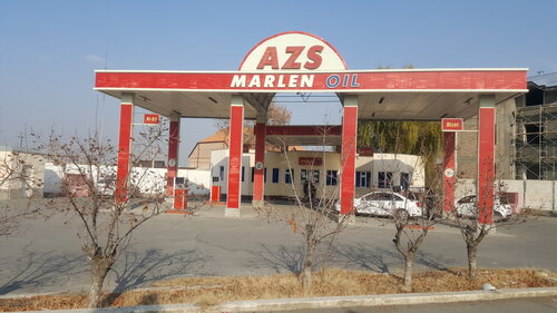 Benzin istasyonu Gas station, Mergilân, foto