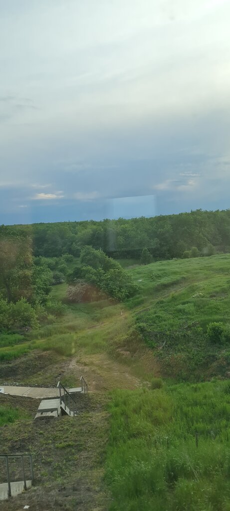 Orman лес Гуралепов, Rostovskaya oblastı, foto
