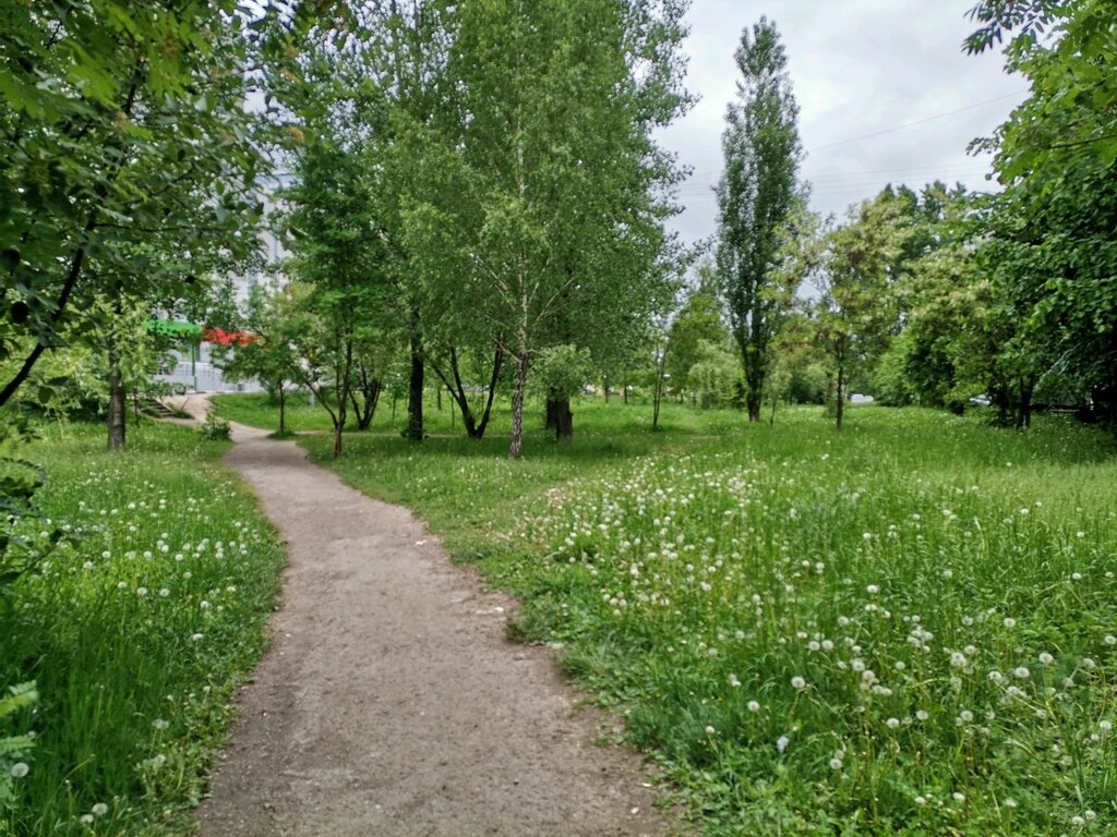 Kültür ve eğlence parkları Chitayuschiy Public Garden, Riazan, foto