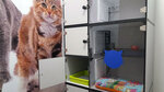 Torre Natura Veterinaris (Comunidad Autónoma de Valenciana, Valencia, Torrent (Valencia), Calle San Cristóbal, 19), veteriner klinikleri  Valensiya'dan