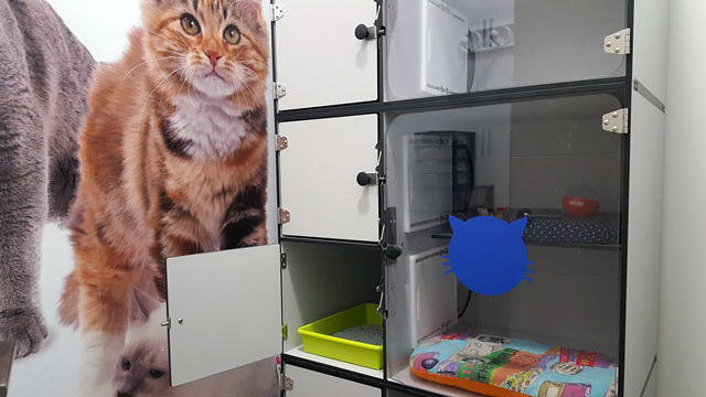 Veteriner klinikleri Torre Natura Veterinaris, Valensiya, foto