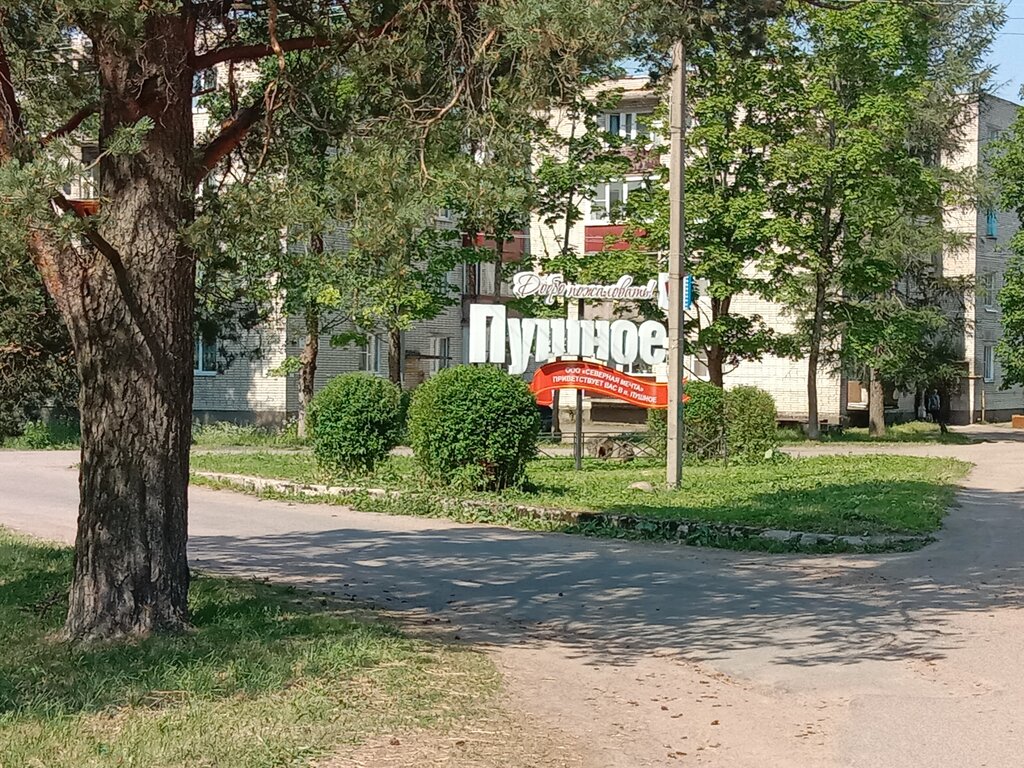 Kültür ocakları МБУК «Рощинский центр культурного досуга», Saint‑Petersburg ve Leningradskaya oblastı, foto