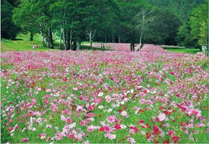 Country Pension Mori No Symphony (Nagano Prefecture, Kamiminochi District, Town of Shinano), otel