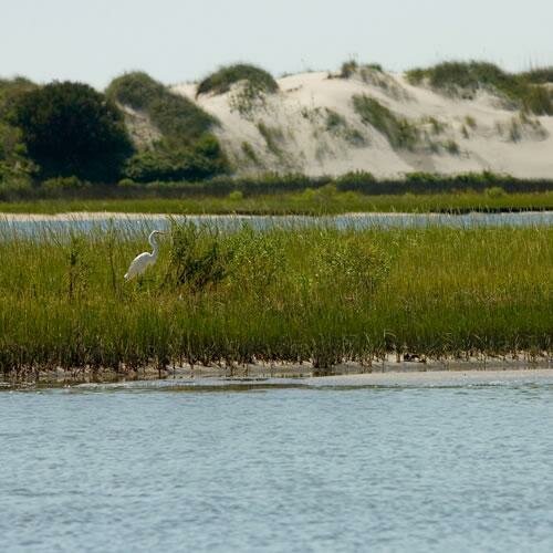 Kültür ve eğlence parkları Waterway Rv Resort, Kuzey Carolina Eyaleti, foto