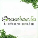 Ozelenenie. Bel (Avijacyjnaja vulica No:3, vioska Kopishcha), peyzaj tasarımı  Minskaya oblastından