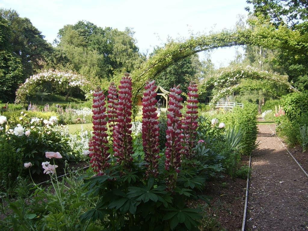 Otel Passford House Hotel, İngiltere, foto