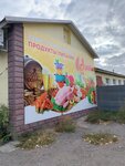 Grocery (Mır kóshesі No:9, Mıchýrın aýyly), market  Kostanay eyaletinden