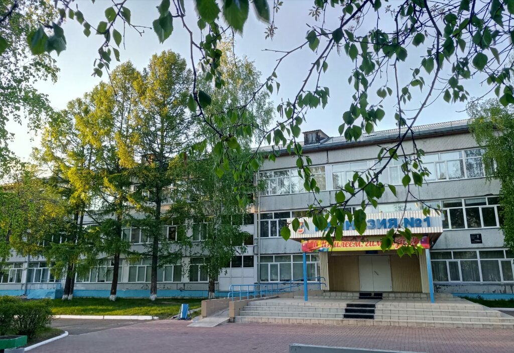 Fen lisesi, sosyal bilimler lisesi Munitsipalnoye avtonomnoye obshcheobrazovatelnoye uchrezhdeniye Gimnaziya № 1 goroda Sosnovoborska, Sosnovoborsk, foto